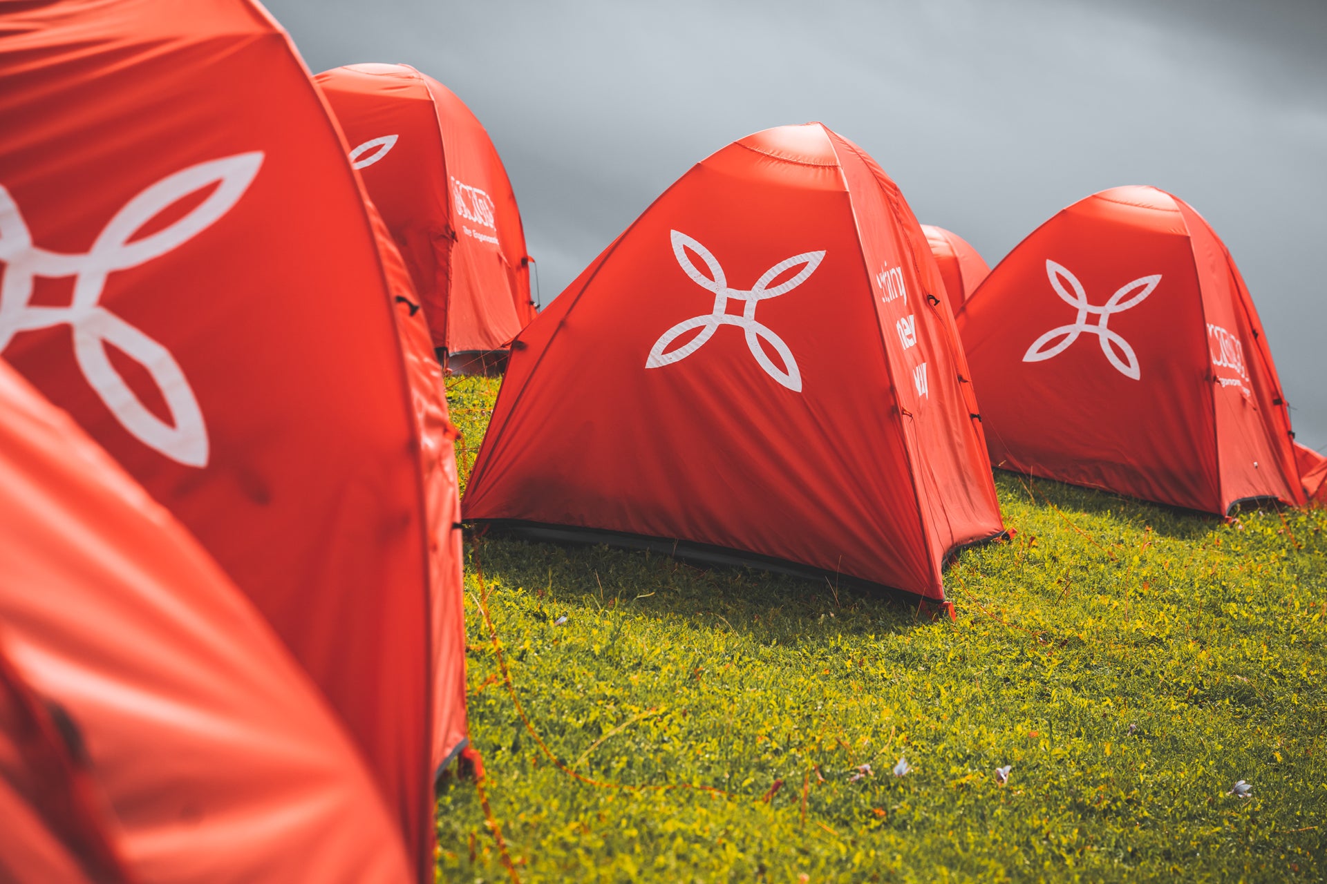 WoodBikeStock – Montura Online Store